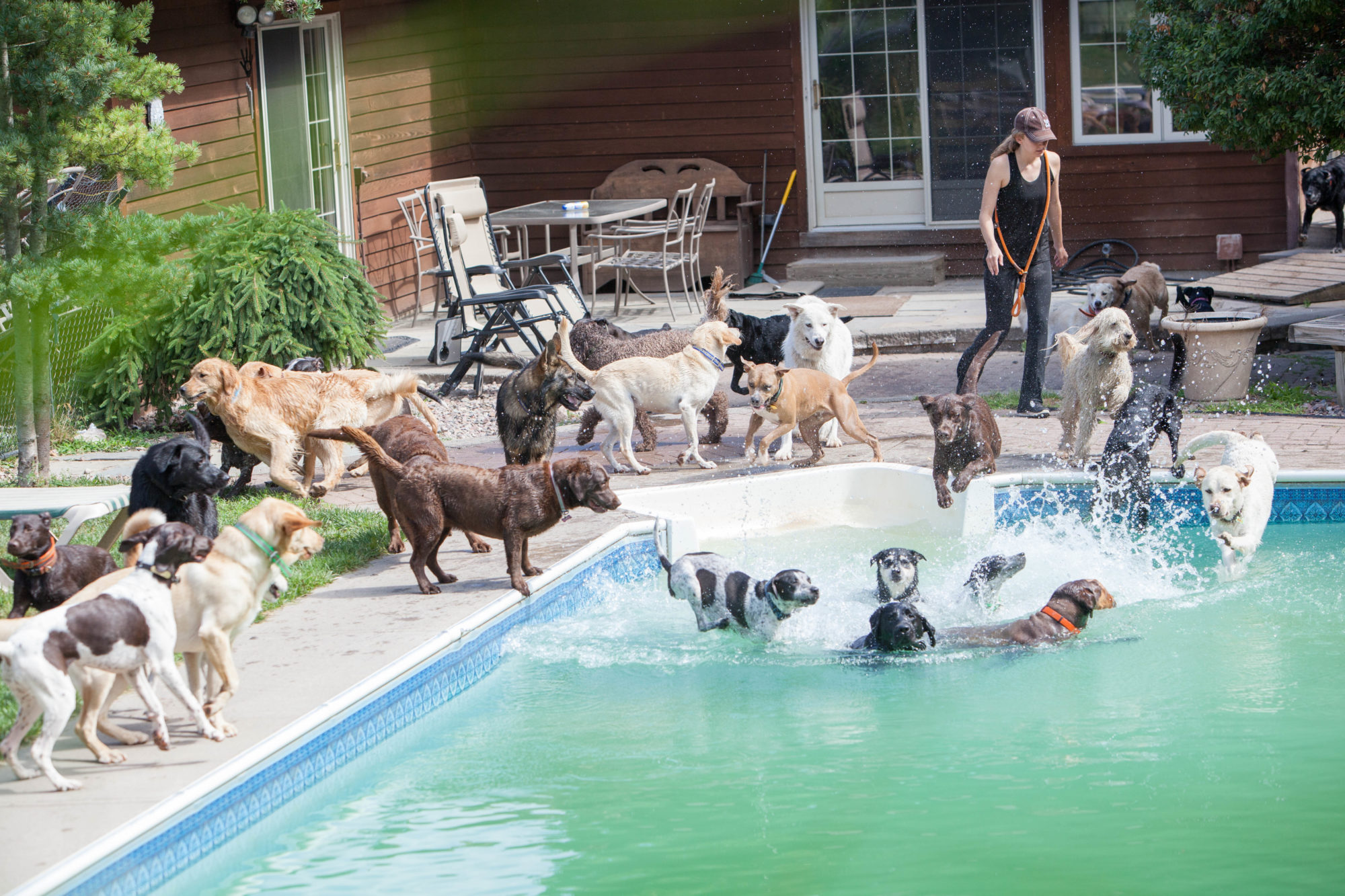 Outdoor Facilities | Critter Sitters