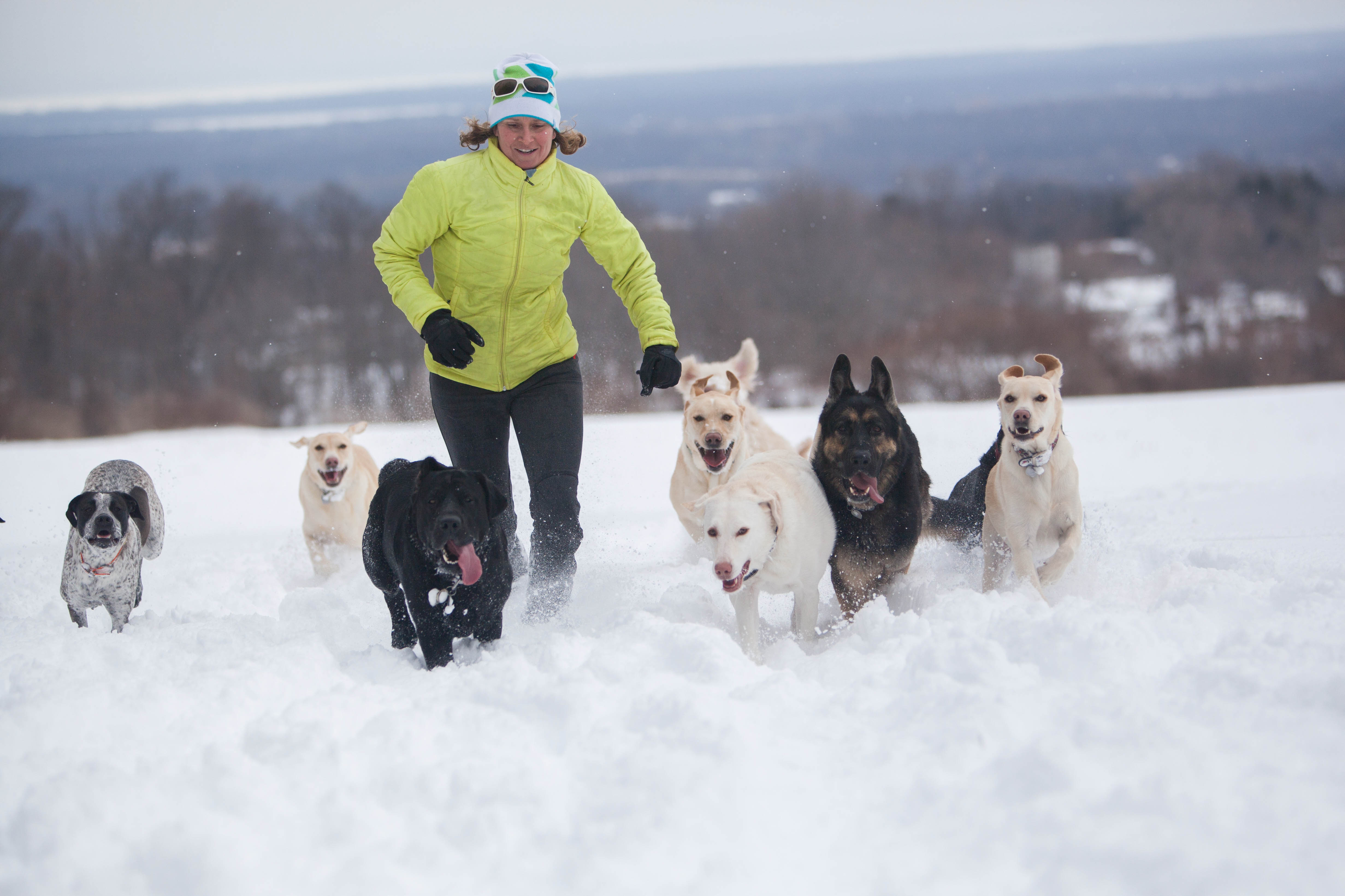 Off Leash Hikes | Critter Sitters