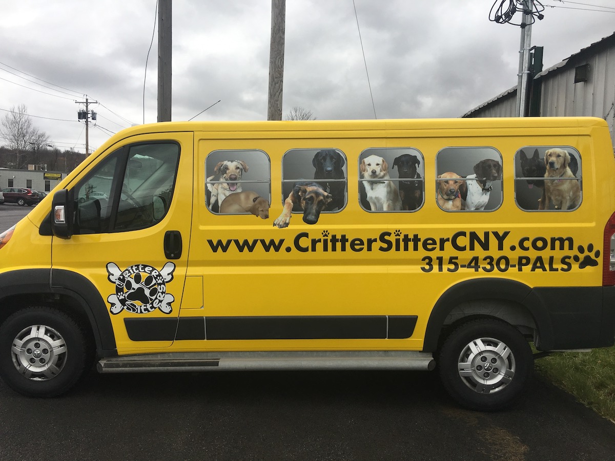 How it works | Critter Sitters